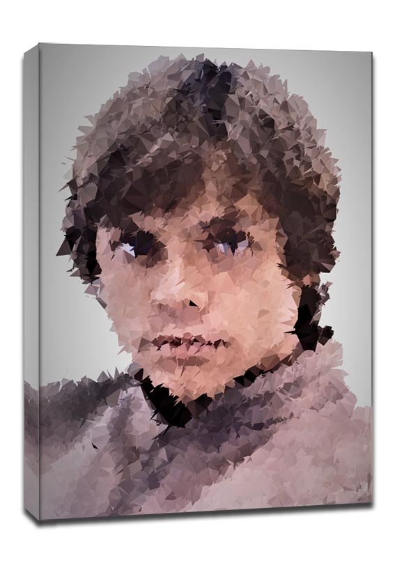 POLYamory - Luke Skywalker, Gwiezdne Wojny Star Wars - obraz na płótnie ...
