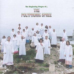 Polyphonic Spree Beginning Stages Of - Polyphonic Spree | Muzyka Sklep ...