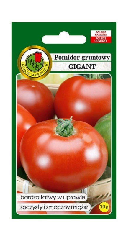 Pomidor gruntowy Gigant 10 g PNOS Ożarów - Inna marka | Sklep EMPIK.COM