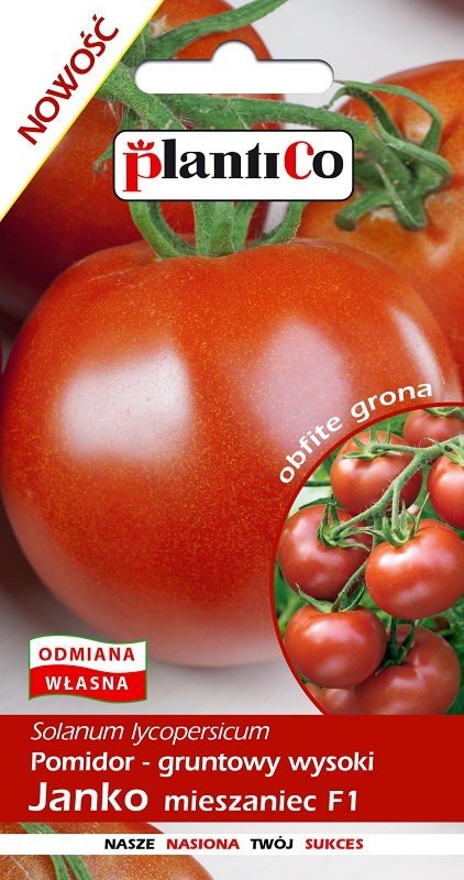 Pomidor gruntowy Janko F1 0,2 g Plantico - Inna marka | Sklep EMPIK.COM