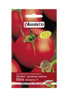 Pomidor gruntowy karłowy Etna F1 0,5 g Plantico - Inna marka | Sklep EMPIK.COM