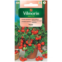 Pomidor gruntowy karłowy, koktajlowy, balkonowy nasiona BAJAJA VILMORIN 0,5 g - Fermo | Sklep ...