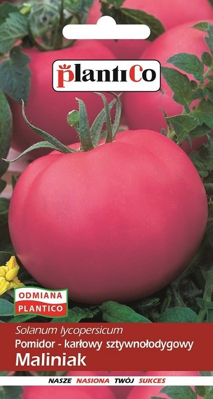 Pomidor gruntowy Maliniak 10 g Plantico - Inna marka | Sklep EMPIK.COM