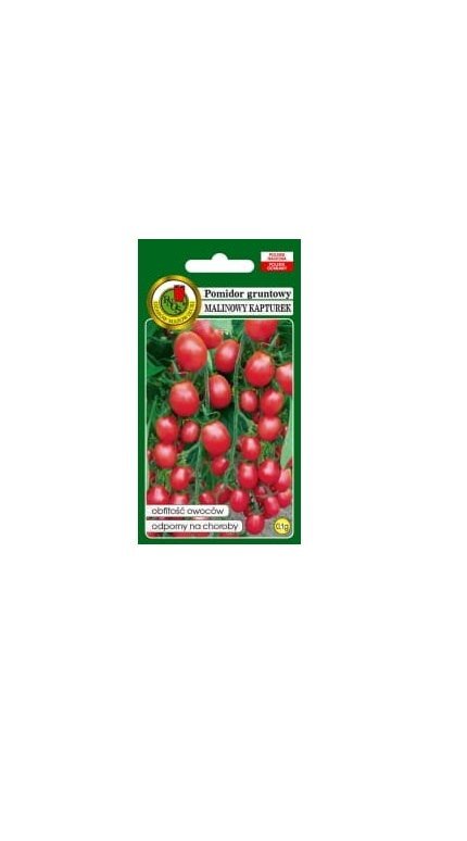 Pomidor gruntowy Malinowy Kapturek 0,1 g PNOS - Inna marka | Sklep EMPIK.COM