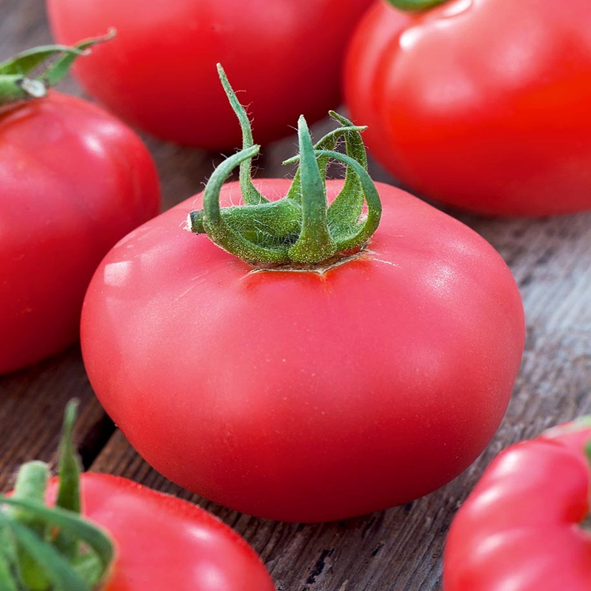 Pomidor gruntowy MALINOWY WARSZAWSKI Solanum lycopersicum L. - Toraf | Sklep EMPIK.COM