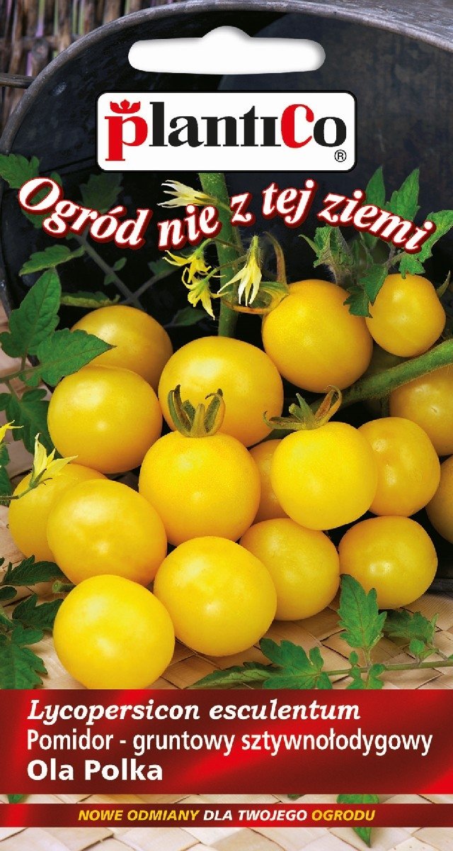 Pomidor Gruntowy Ola Polka 0,5g PlantiCo - PlantiCo | Sklep EMPIK.COM