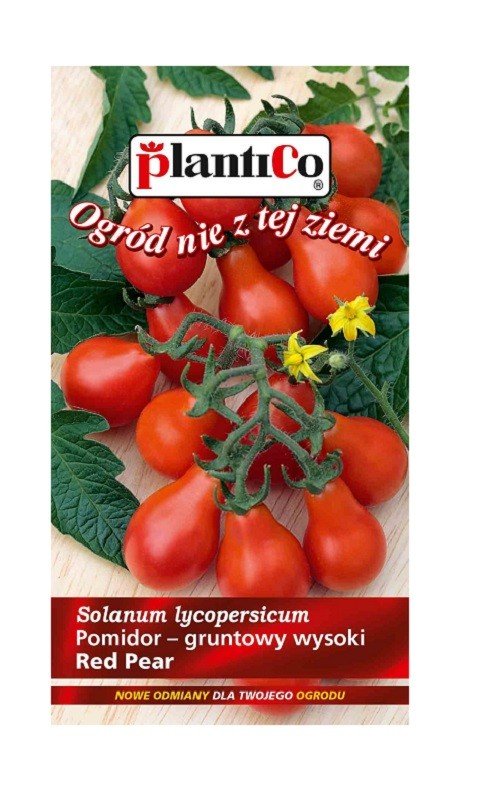 Pomidor gruntowy wysoki Red Pear 0,2 g Plantico - Inna marka | Sklep EMPIK.COM