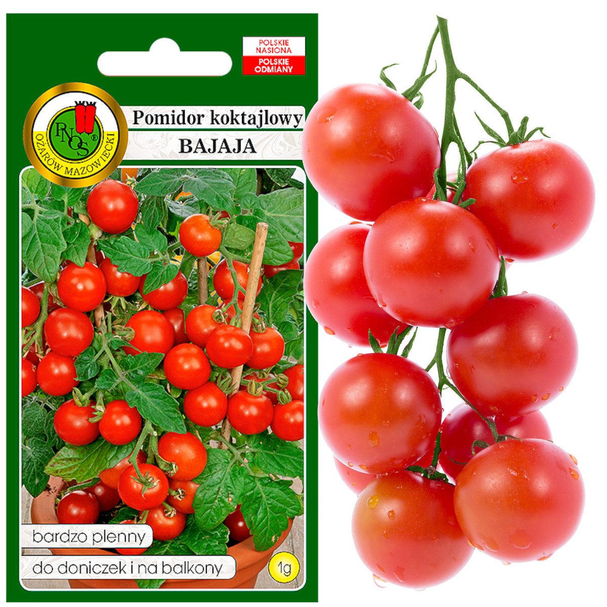 Pomidor Koktajlowy Bajaja Plenny Nasiona Bez Gmo - PNOS | Sklep EMPIK.COM