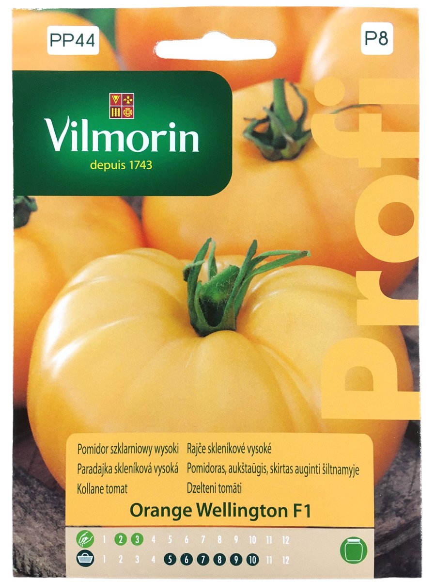 Pomidor Orange Wellington F1 15 nasion Vilmorin PROFI - Vilmorin | Sklep EMPIK.COM