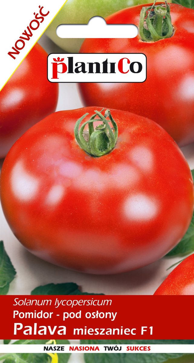 Pomidor pod osłony F1 Palava 0,1 g PLANTICO - Inna marka | Sklep EMPIK.COM