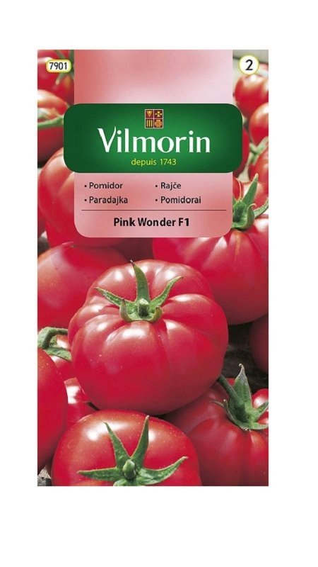 Pomidor szklarniowy Pink Wonder 7z Vilmorin - Inna marka | Sklep EMPIK.COM