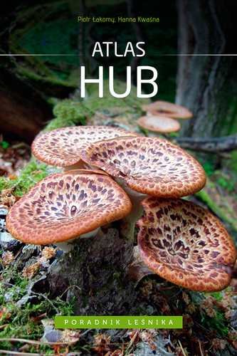 Poradnik leśnika. Atlas hub - Łakomy Piotr | Książka w Empik