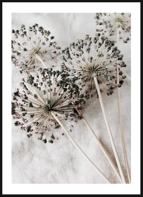 Poster Story, Plakat, Suszone Dmuchawce, wymiary 70 x 100 cm - posterstory.pl | Sklep EMPIK.COM