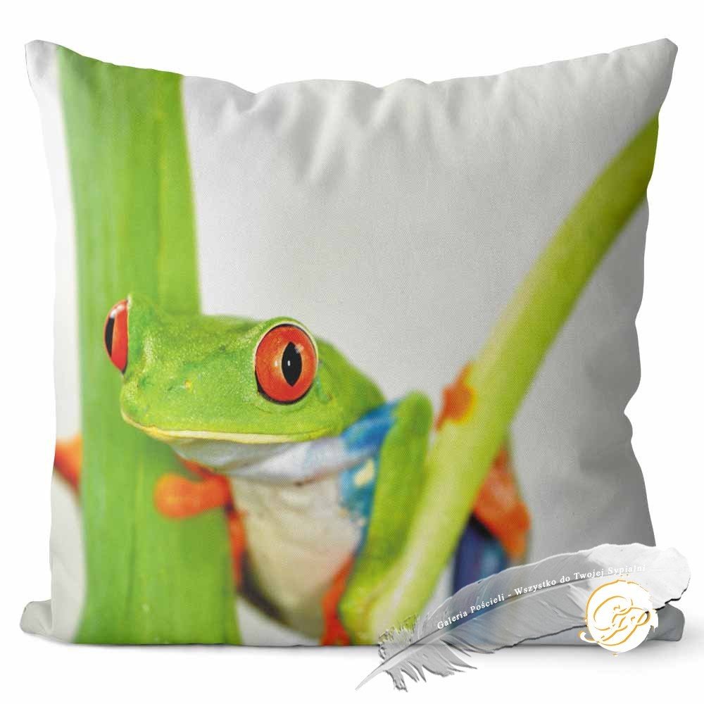Poszewka 3D bawełna satyna 40x40cm ZIELONA ŻABA - Galeria Pościeli ...
