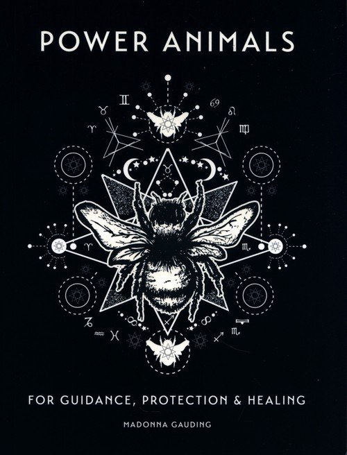 Power Animals For Guidance, Protection and Healing - Gauding Madonna ...