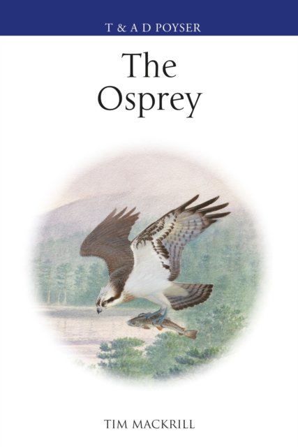Poyser Monographs, The Osprey - Tim Mackrill | Książka w Empik