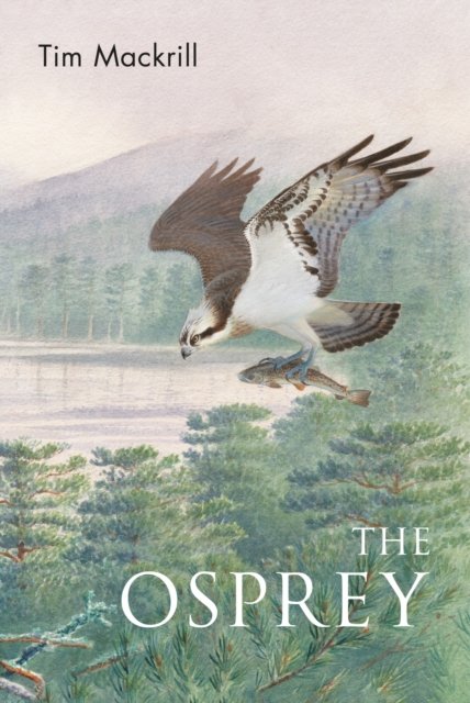 Poyser Monographs, The Osprey - Tim Mackrill | Książka w Empik