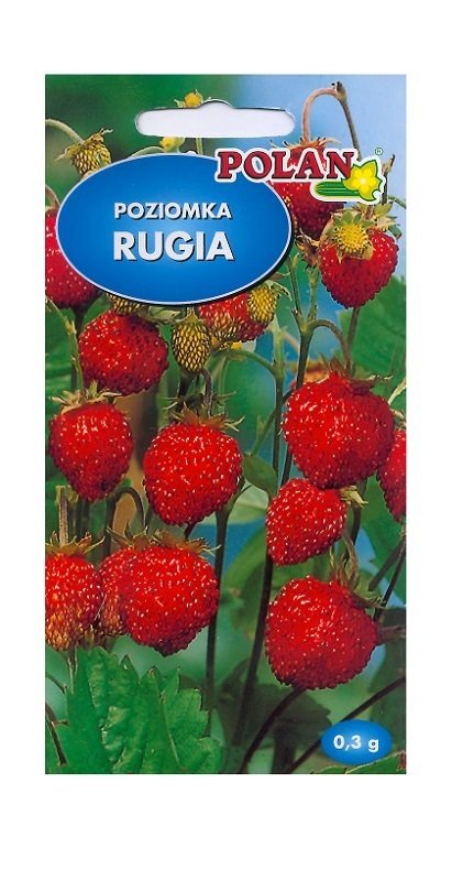 Poziomka bezrozłogowa Rugia 0,3 g POLAN - Inna marka | Sklep EMPIK.COM