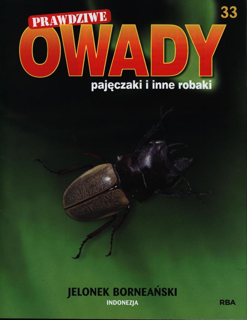 Prawdziwe Owady Pajęczaki i Inne Robaki Reedycja - Hachette Polska Sp ...