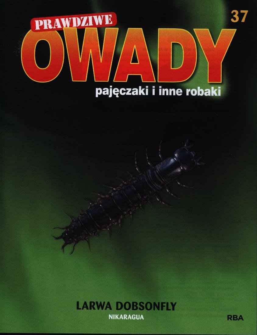 Prawdziwe Owady Pajęczaki i Inne Robaki Reedycja - Hachette Polska Sp. z o.o. | Prasa Sklep ...