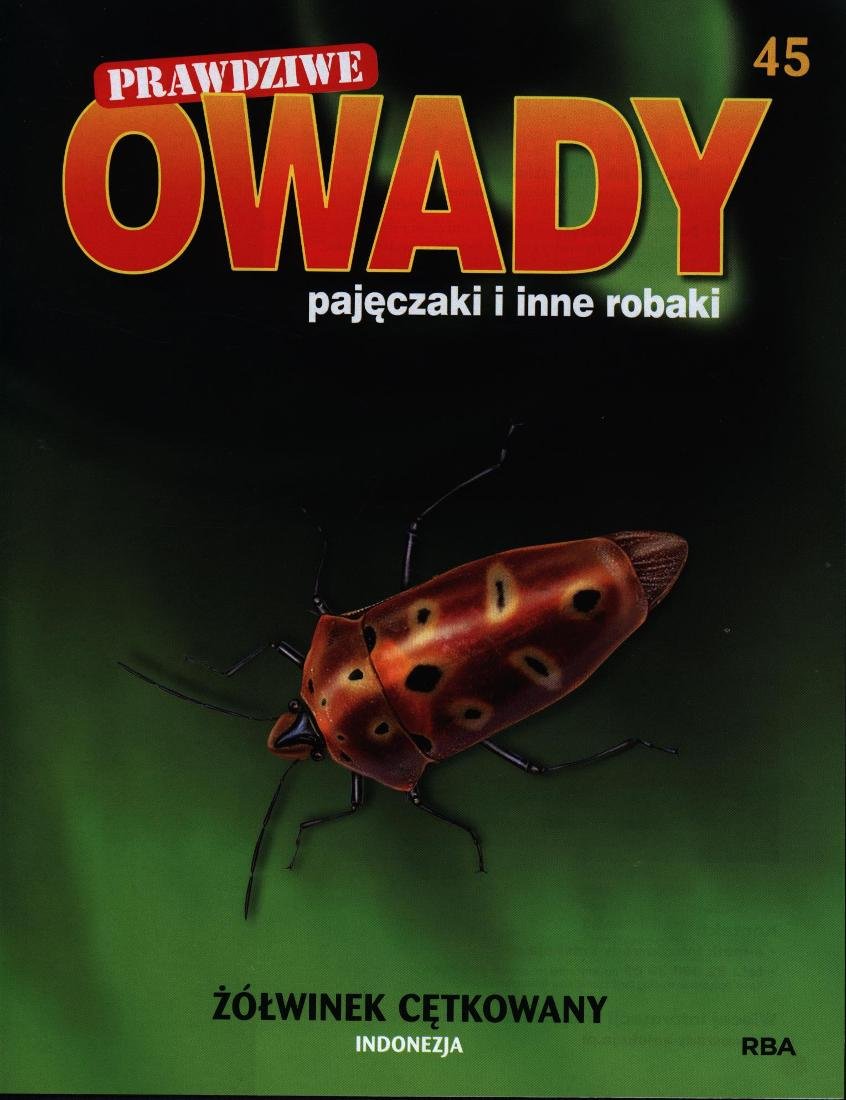 Prawdziwe Owady Pajęczaki i Inne Robaki Reedycja - Hachette Polska Sp. z o.o. | Prasa Sklep ...