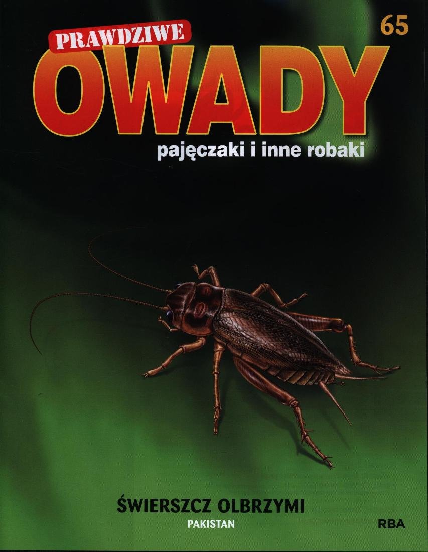 Prawdziwe Owady Pajęczaki i Inne Robaki Reedycja - Burda Media Polska ...