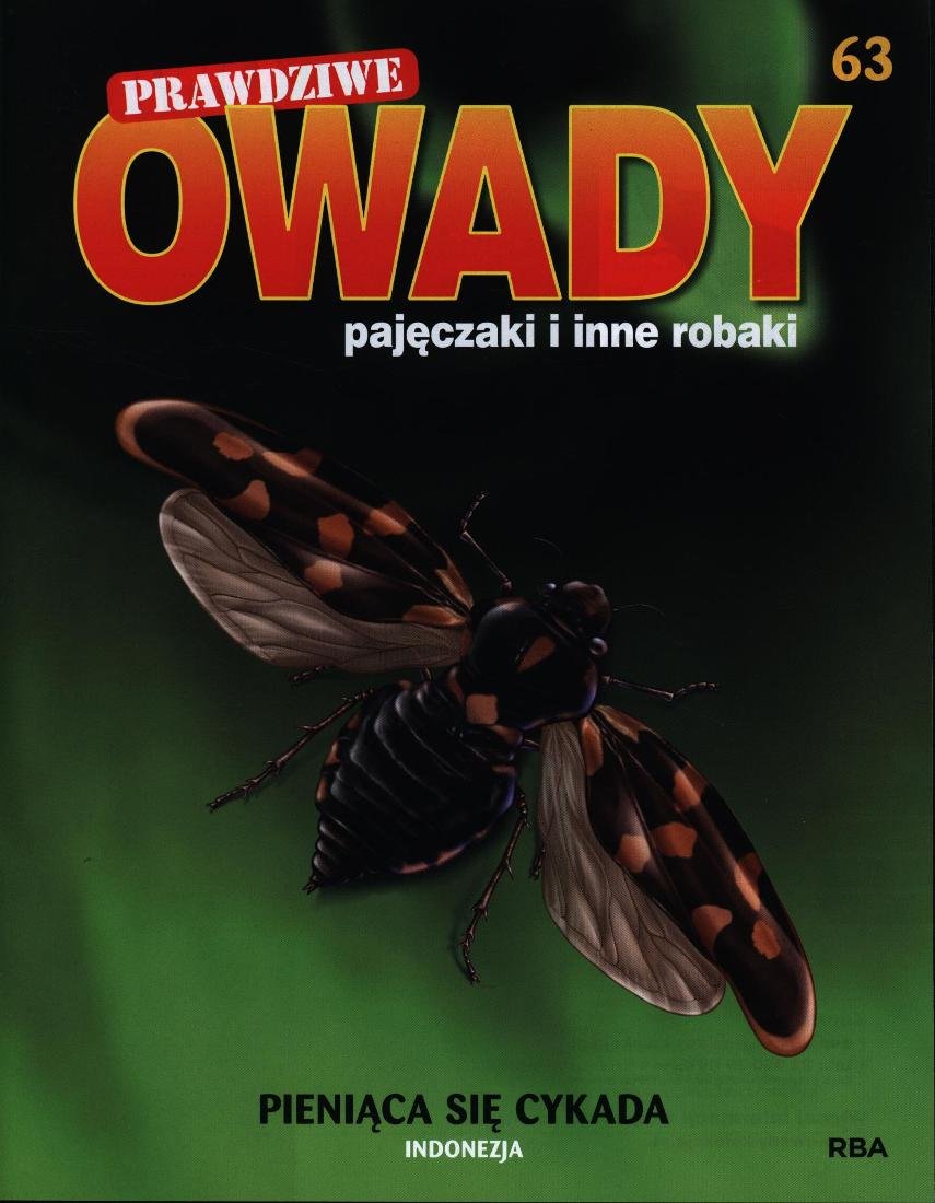 Prawdziwe Owady Pajęczaki i Inne Robaki Reedycja - Burda Media Polska ...