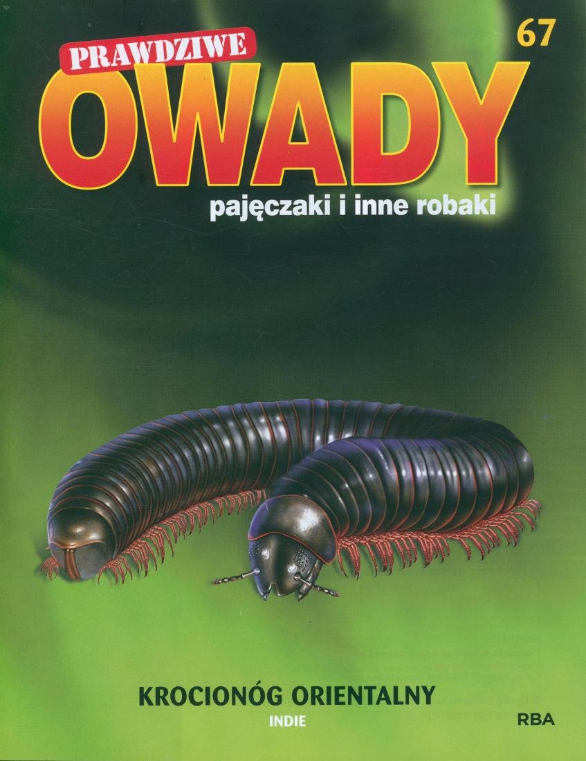 Prawdziwe Owady Pajęczaki i Inne Robaki Reedycja - Burda Media Polska ...