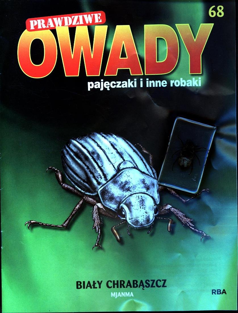 Prawdziwe Owady Pajęczaki i Inne Robaki Reedycja - Burda Media Polska ...