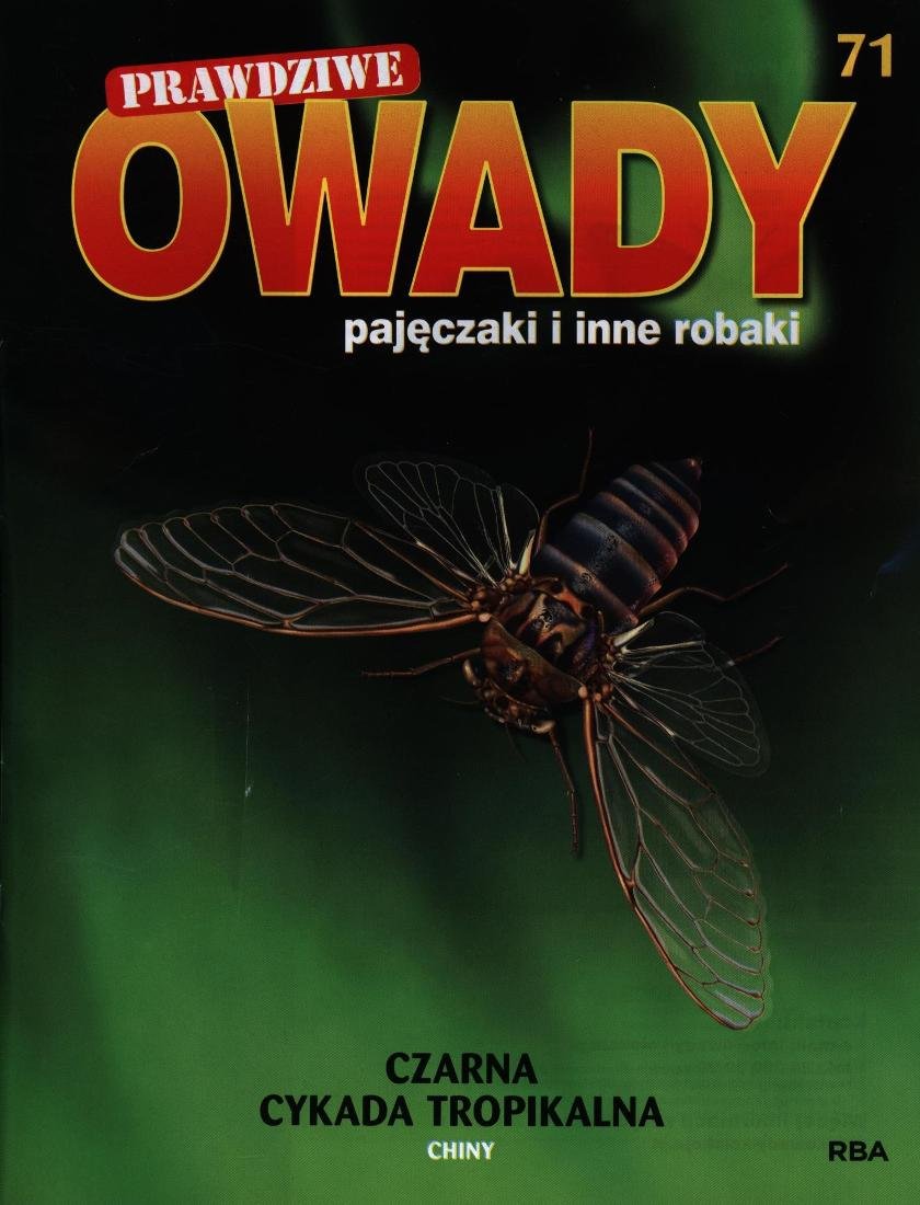 Prawdziwe Owady Pajęczaki i Inne Robaki Reedycja - Burda Media Polska ...