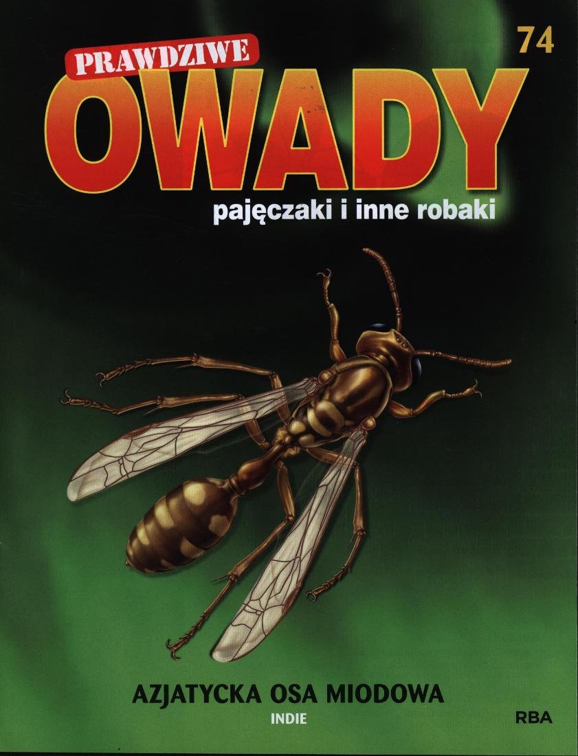 Prawdziwe Owady Pajęczaki i Inne Robaki Reedycja - Burda Media Polska ...