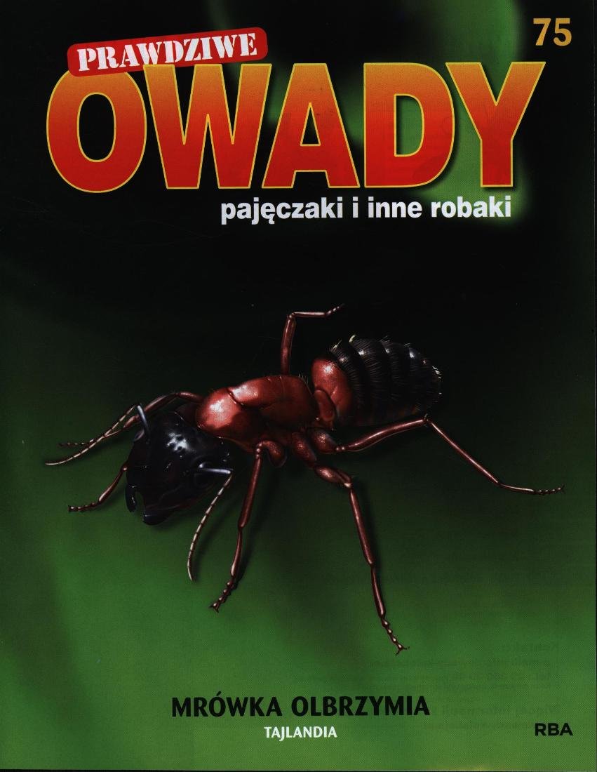 Prawdziwe Owady Pajęczaki i Inne Robaki Reedycja - Burda Media Polska ...