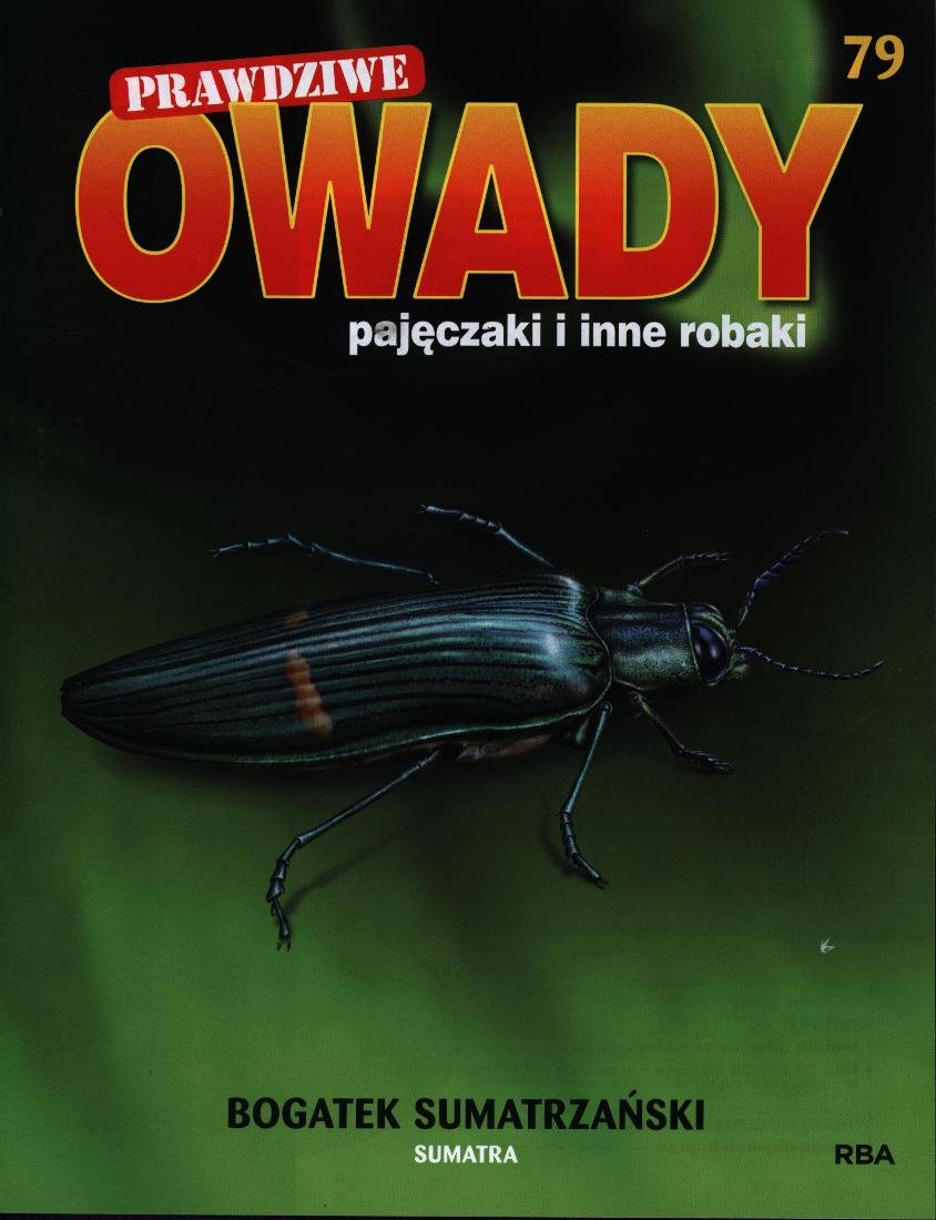 Prawdziwe Owady Pajęczaki i Inne Robaki Reedycja - Burda Media Polska ...