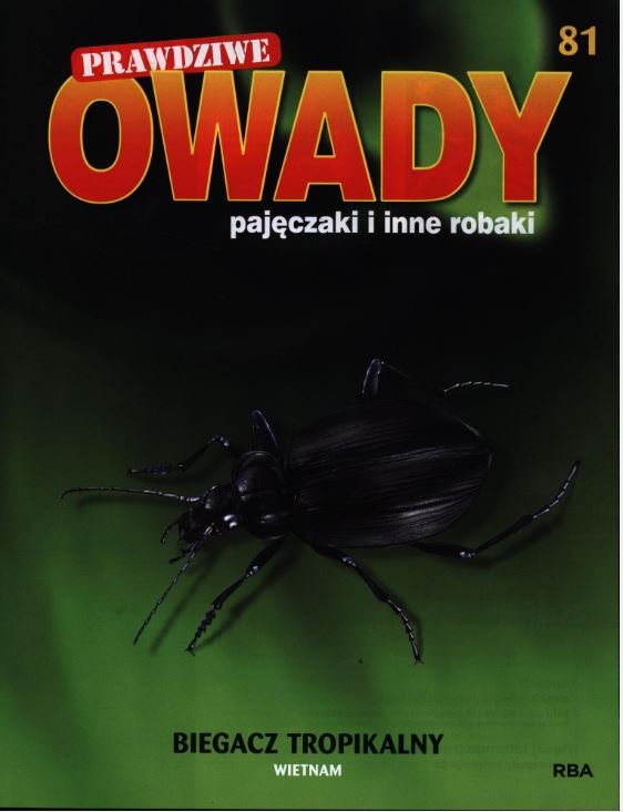 Prawdziwe Owady Pajęczaki i Inne Robaki Reedycja - Burda Media Polska ...