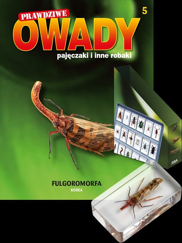 Prawdziwe Owady Pajęczaki i Inne Robaki Reedycja - Burda Media Polska ...