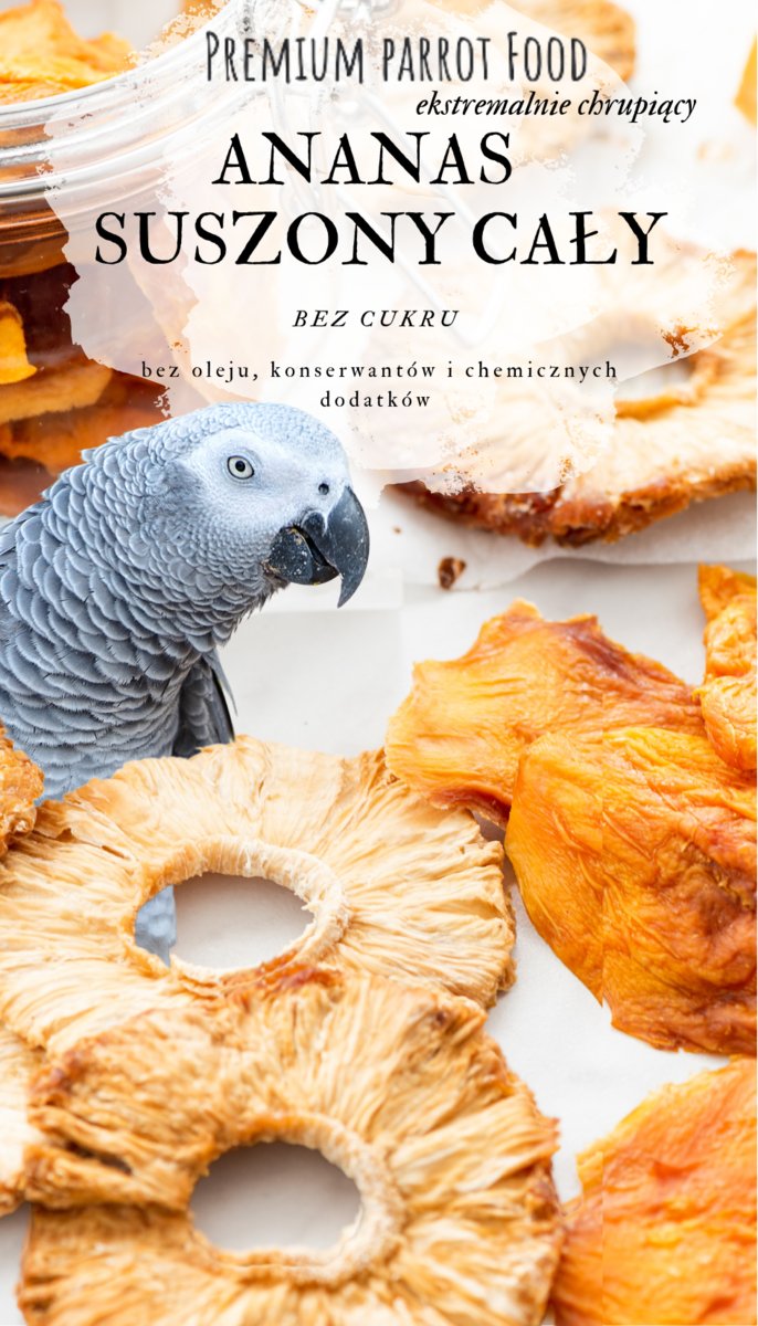 Premium Parrot Food | Ananas Naturalnie Suszony | Naturalna przekąska ...