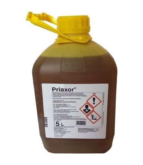 PRIAXOR EC 5L FUNGICYD PSZENICA JĘCZMIEŃ PSZENŻYTO ŻYTO NA GRZYBA ...