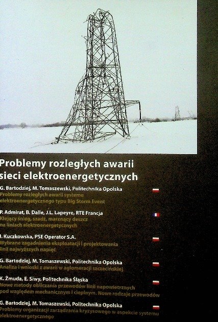 Problemy Rozległych Awarii Sieci Elektroenergetycznych - Opracowanie zbiorowe | Książka w Empik