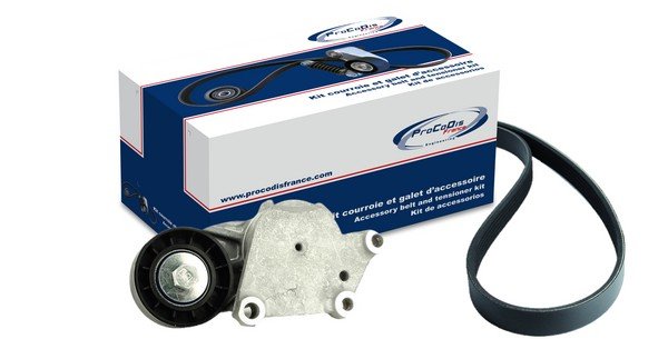 Procodis France Kga2001 Zestaw Paska Klinowego Wielorowkowego (B4213 ...