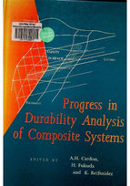 Progress in Durability Analysis of Composite Systems - Opracowanie ...