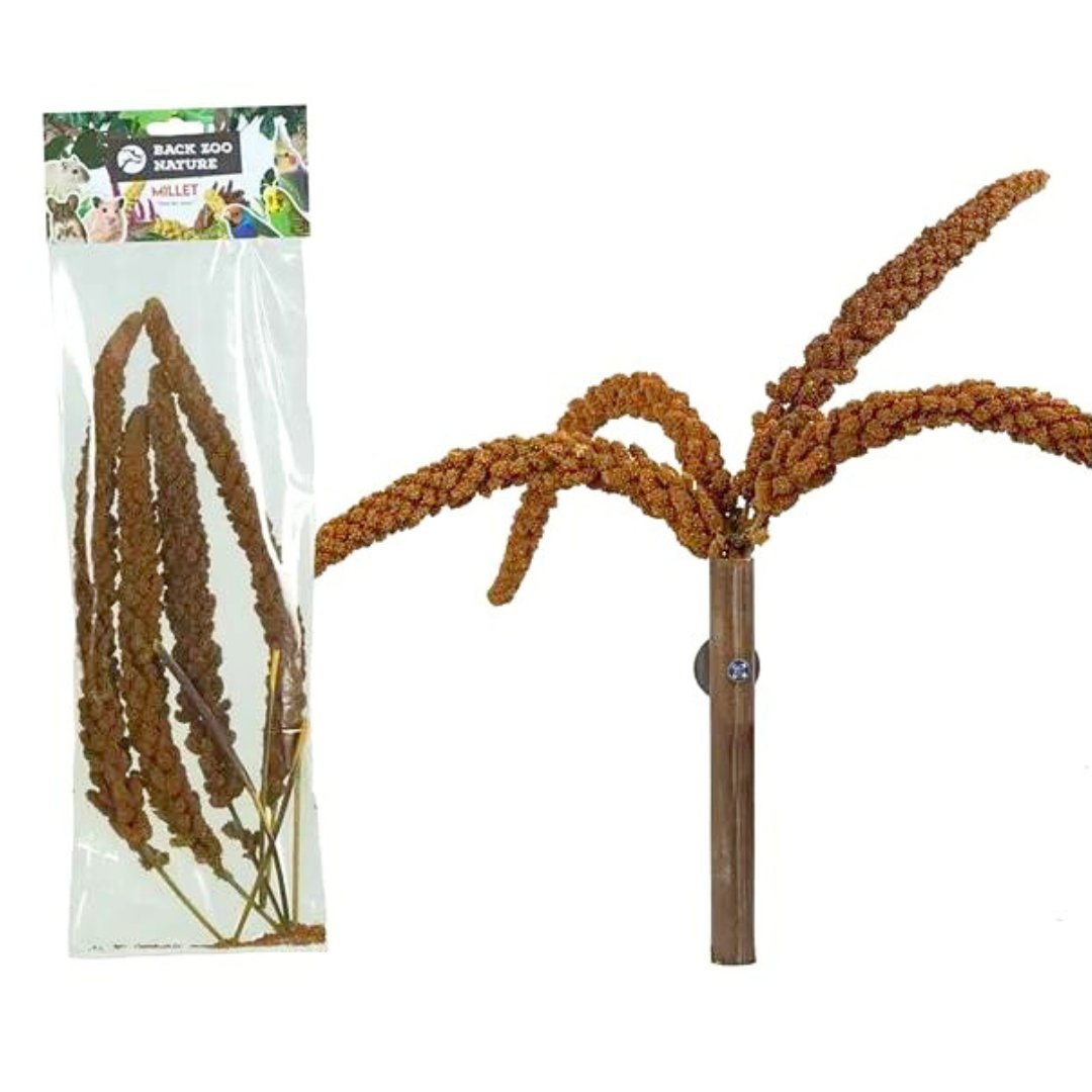 Proso Czerwone w Bukiecie od Back Zoo Nature | Bukiet Prosa Czerwonego ...