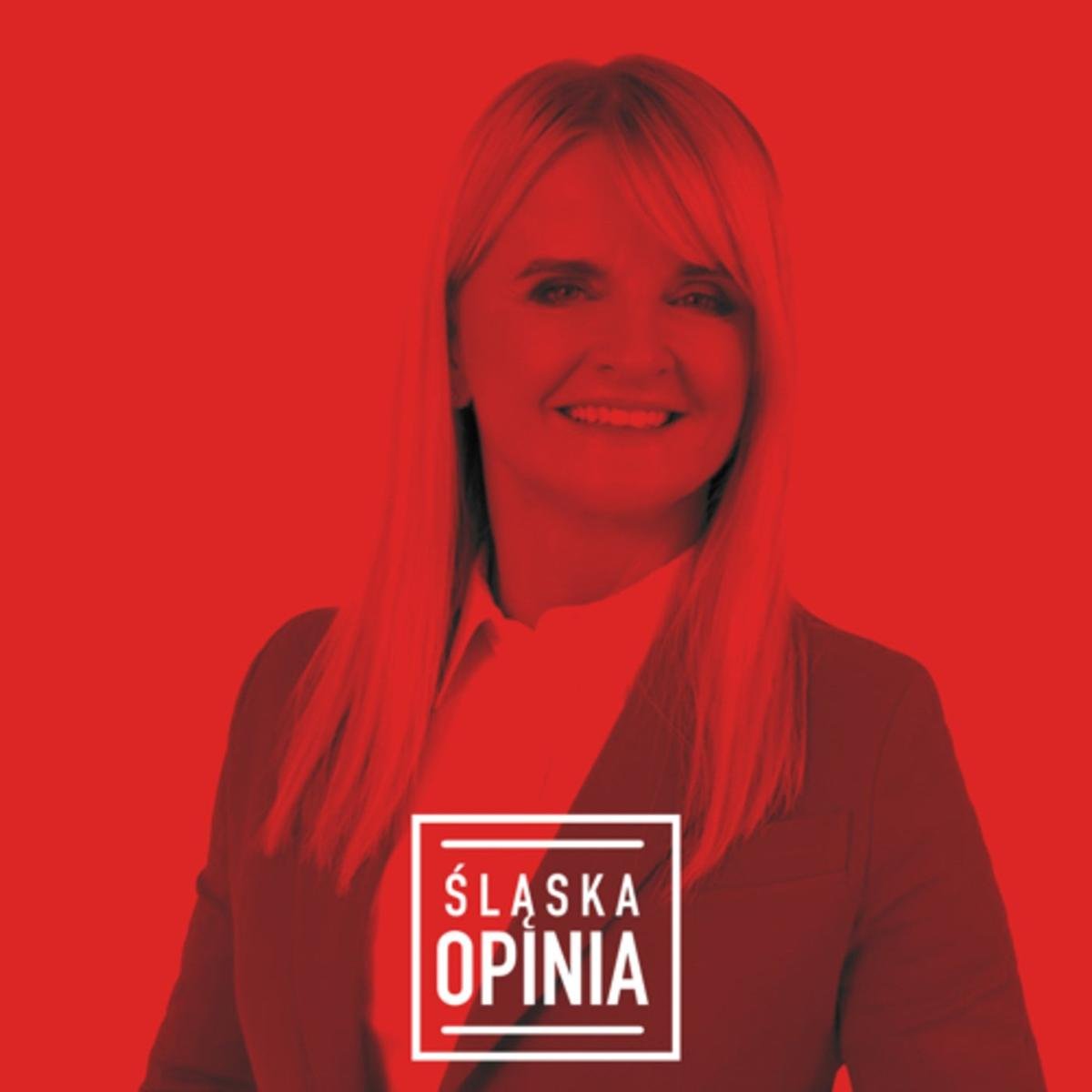 Przedsiębiorcy w Sejmiku Śląskim. Gościni: Jolanta Milas - Śląska ...