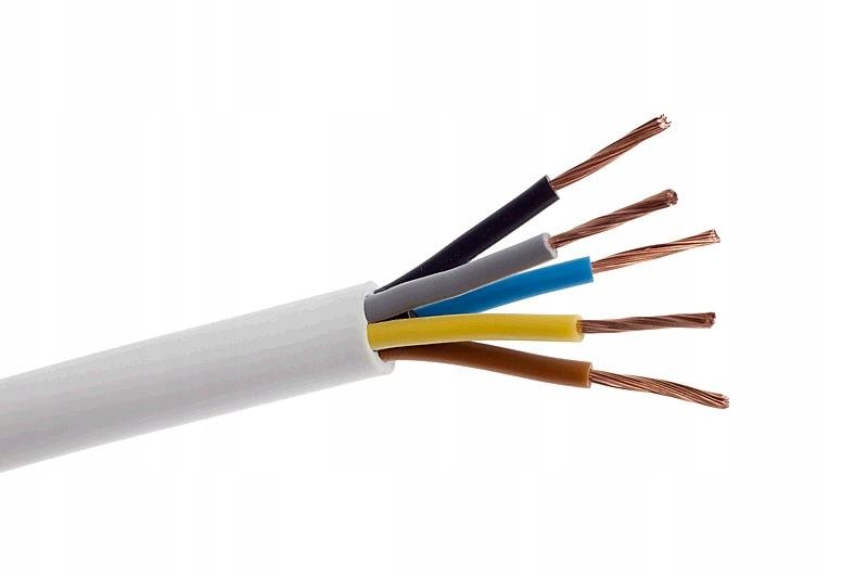 Przewód kabel linka OWY 5x6 300/500V 1m - ELPAR | Sklep EMPIK.COM