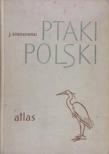 Ptaki Polski Atlas - Opracowanie zbiorowe | Książka w Empik
