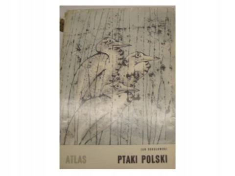Ptaki Polski Atlas - Sokołowski Stanisław J. | Książka w Empik