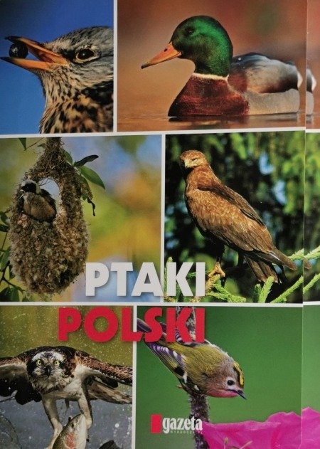 Ptaki Polski - Opracowanie zbiorowe | Książka w Empik