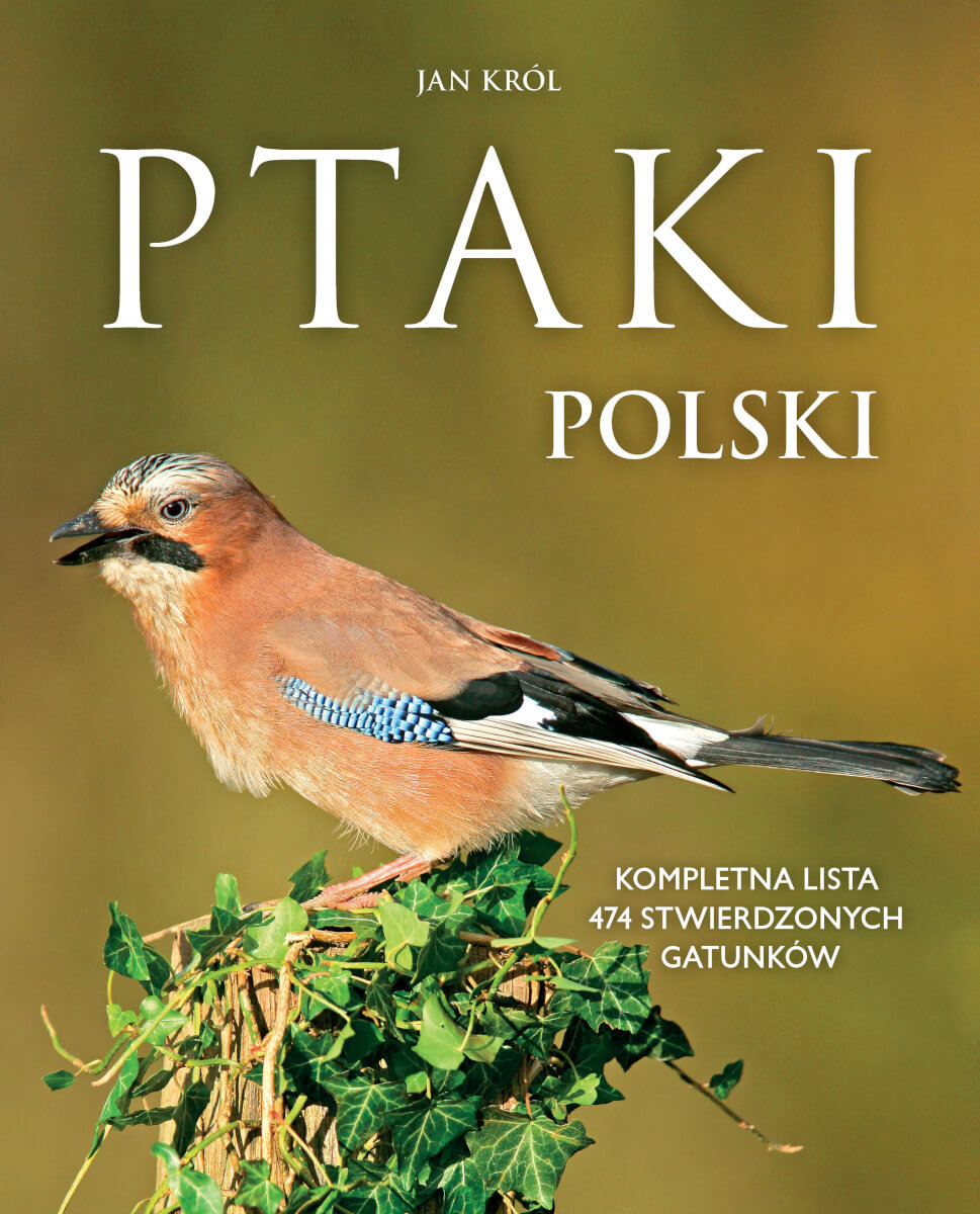 Ptaki Polski. Kompletna lista 474 stwierdzonych gatunków - Król Jan ...