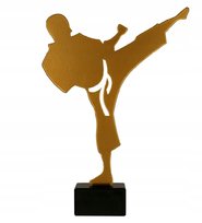 Puchar / Statuetka metalowa KARATE, SZTUKI WALKI, AIKIDO, JUDO + GRAWER ...