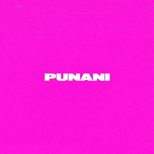 Punani - Bombastic | Muzyka, mp3 Sklep EMPIK.COM