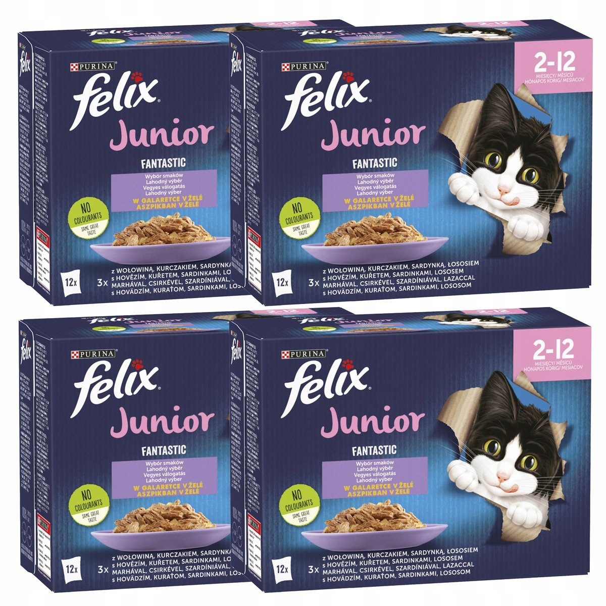 Purina Felix Junior Karma Mokra Dla Kociąt Mix Smaków 48X85G - Felix | Sklep EMPIK.COM